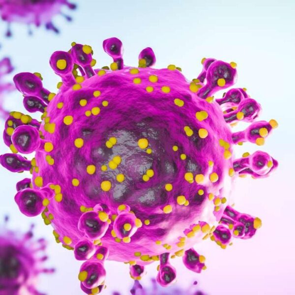 Virus de Oropouche – Prosaia Nuevo